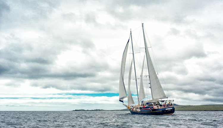 Galapagos Kreuzfahrt | Segelyacht MS Beagle | 8 Tage | napur tours