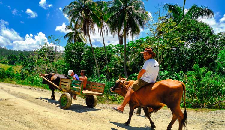 Kuba Reise - Kuba hautnah | 14 Tage | Kleingruppe | napur tours